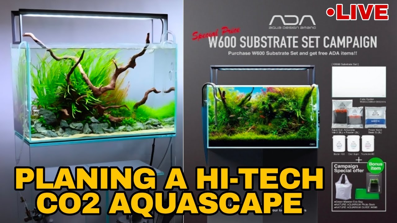 Fishtoy! LIVE - AFA / ADA Getting in " CO2 Planted Tanks" - 60P ...