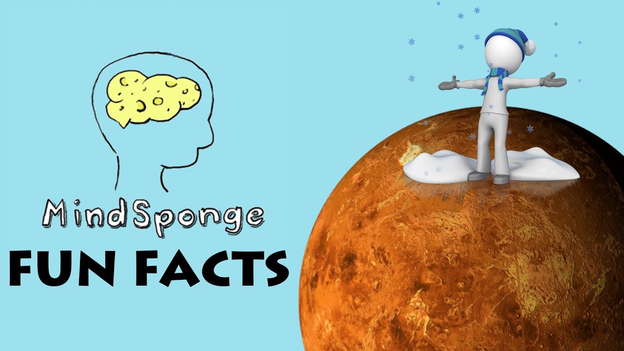 MindSponge Fun Fact: Venus Snow - YouTube
