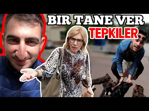 9 köpek karşısında insanların verdiği komik tepkiler