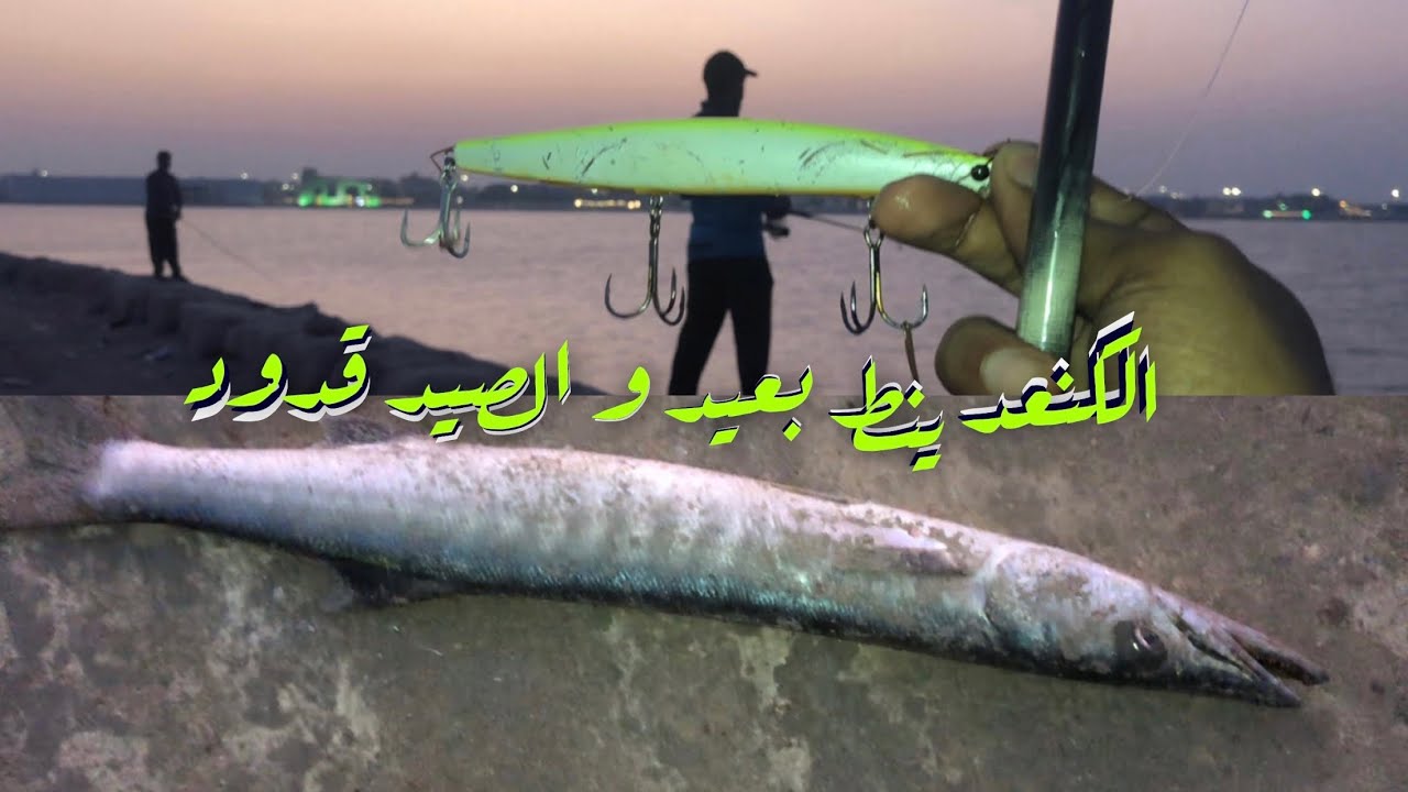 الكنعد ينط بعيد و الصيد قدود - the kingfish jumping in far - المنتب ...