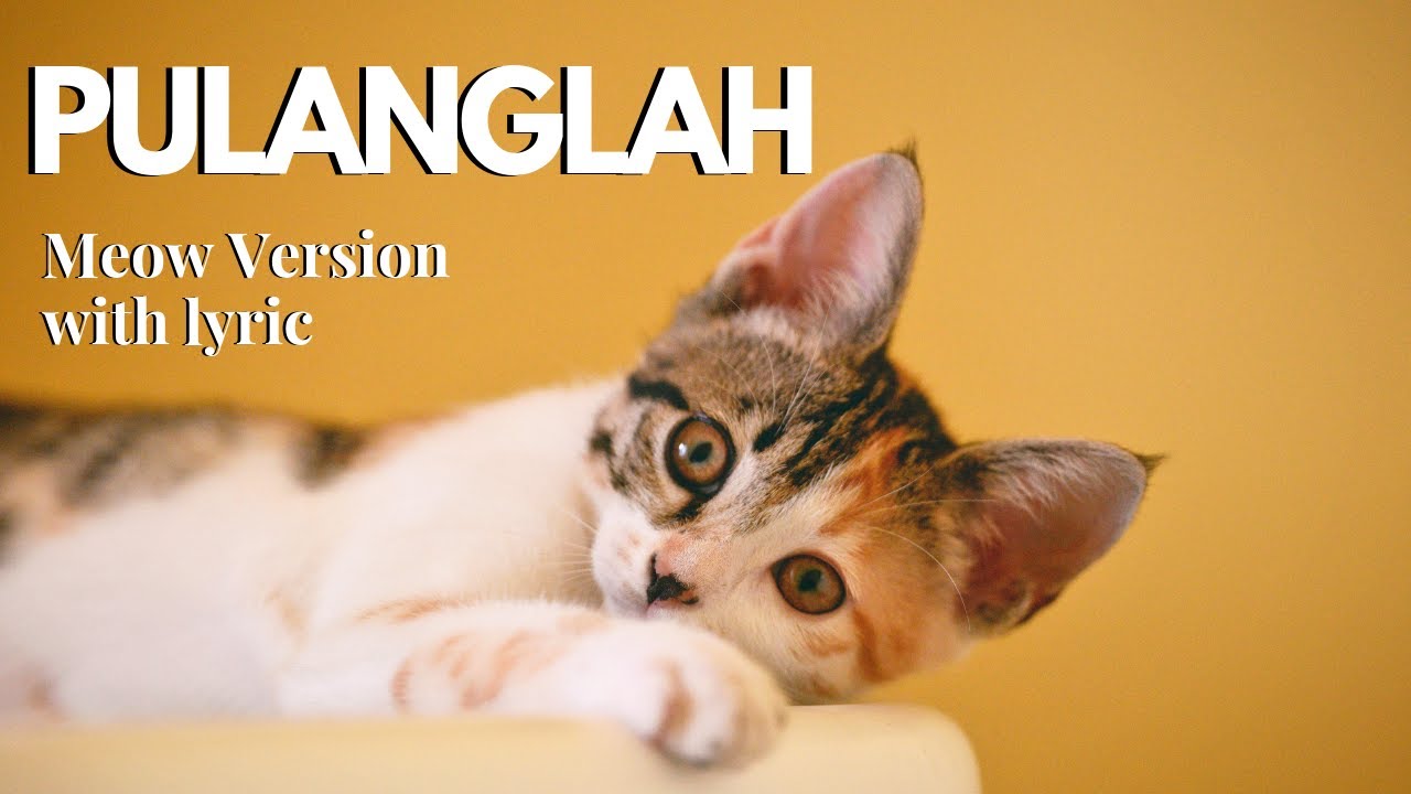 Lagu Raya - Pulanglah [Meow Version with Lyric] - YouTube