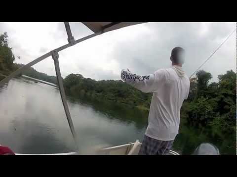 FLY FISHING IN PANAMA CANAL - YouTube
