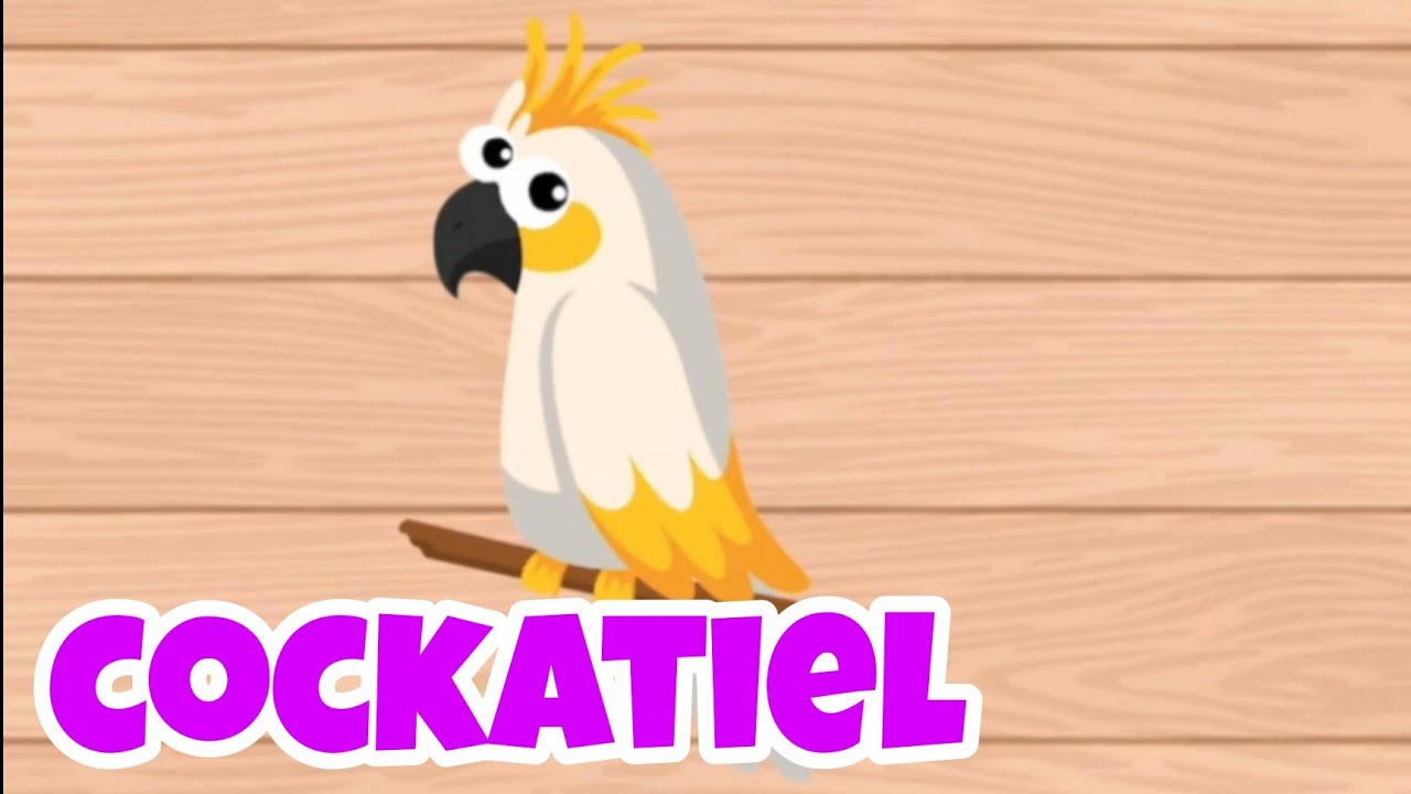 🧩Puzzles for kids. 😊Puzzle "Cockatiel". - YouTube
