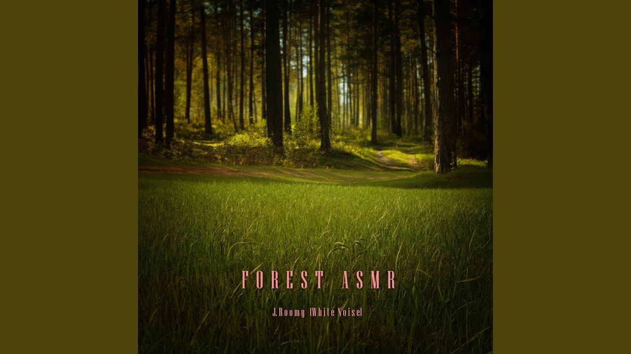 숲속 ASMR (집중 자장가) Forest ASMR (Nature Sound) - YouTube Music