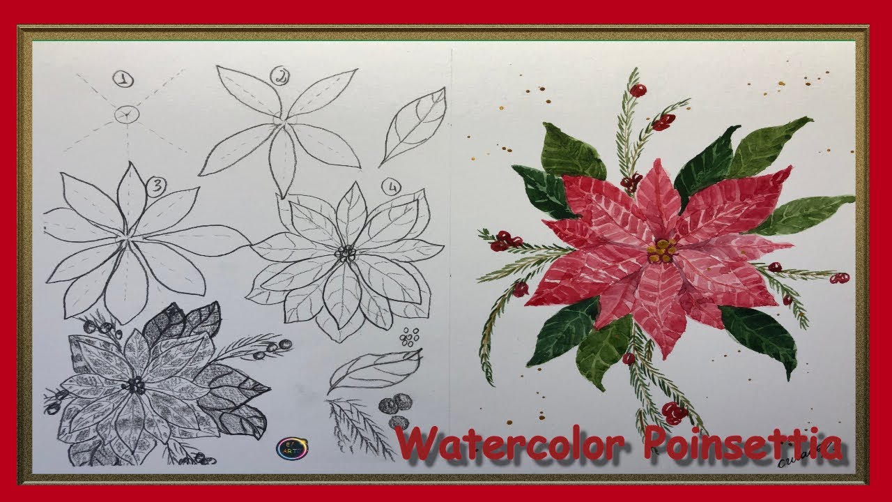 Tutorial: Draw and Watercolor a Stunning Poinsettia Flower for ...