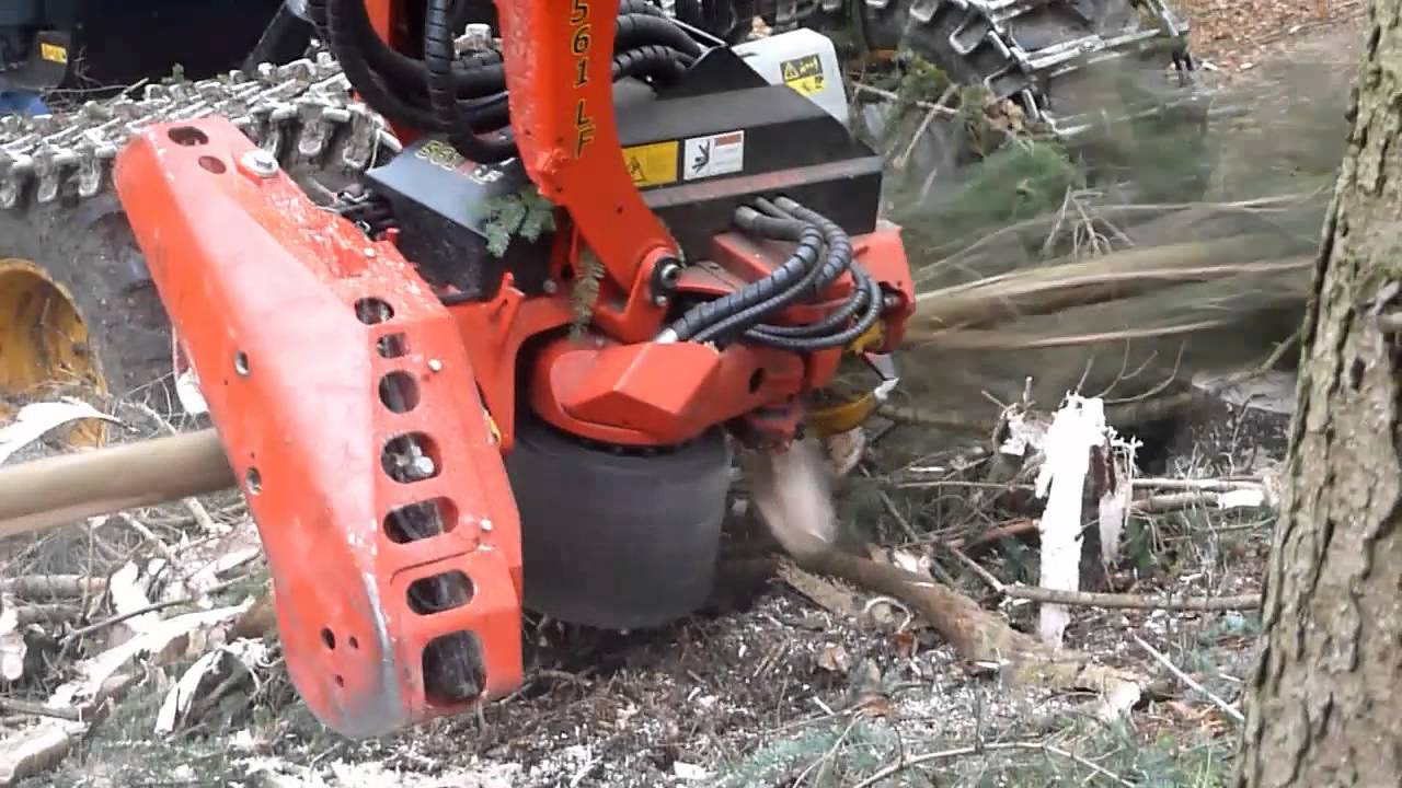 SP 561 LF - Harvesting Head - Cabeçote - YouTube