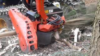 SP 561 LF - Harvesting Head - Cabeçote