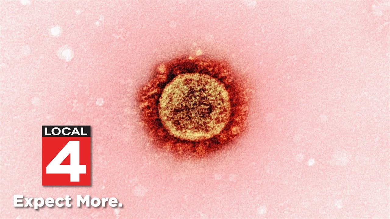 Measles in Michigan: Urgent Facts You Must Know Now! - Michigan-State.blog