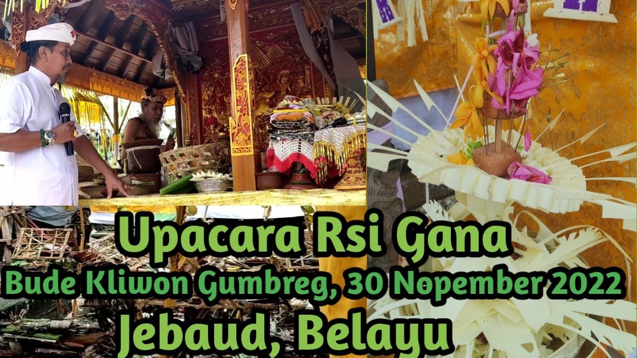 Upacara Rsi Gana, 30 Nopember 2022, Jebaud, Belayu - YouTube