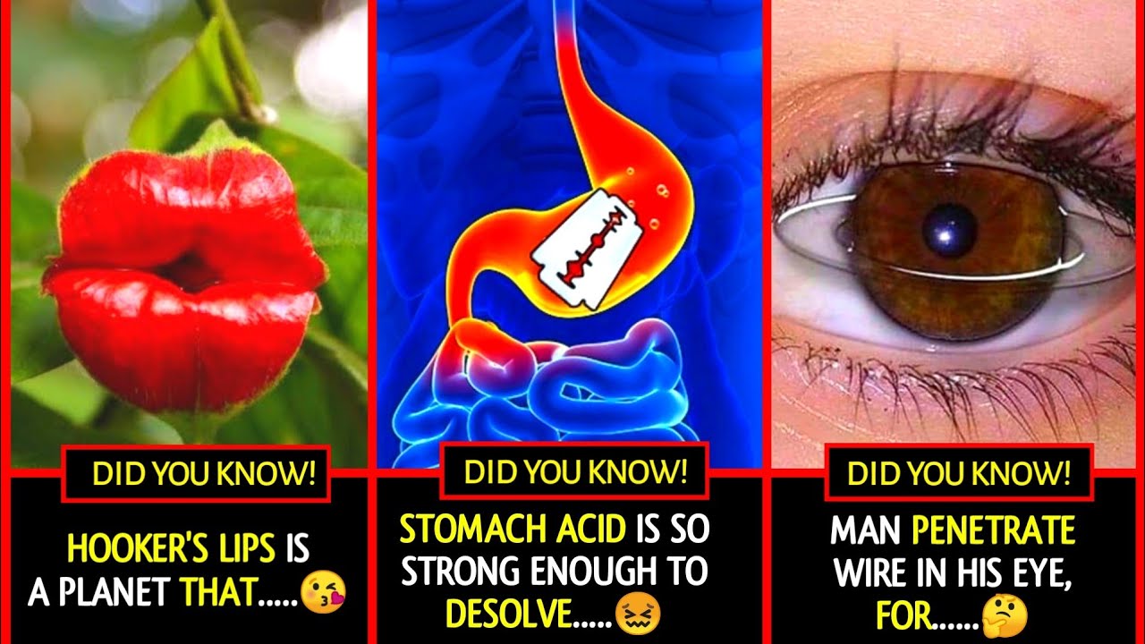 Shocking Facts #73 😳 Everyone Should Know 🔥 ~ Interesting Facts ~ Did ...