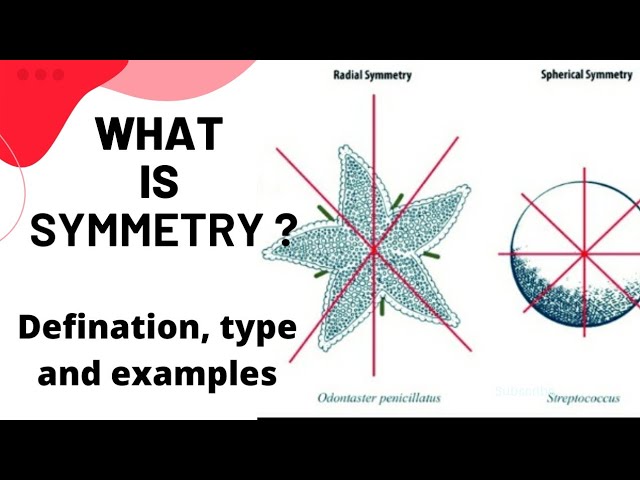 Spherical Symmetry In Animals