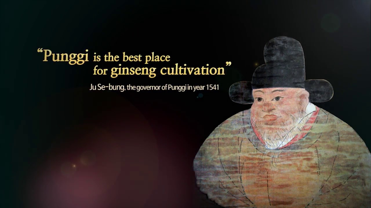 Punggi Ginseng Promotional Video - YouTube