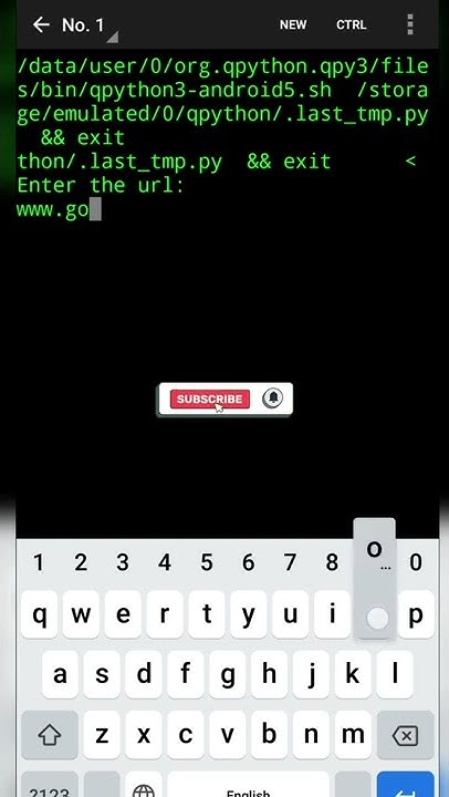 Know IP address of any website using Python #itzrafiq #python #pythonprogramming - YouTube