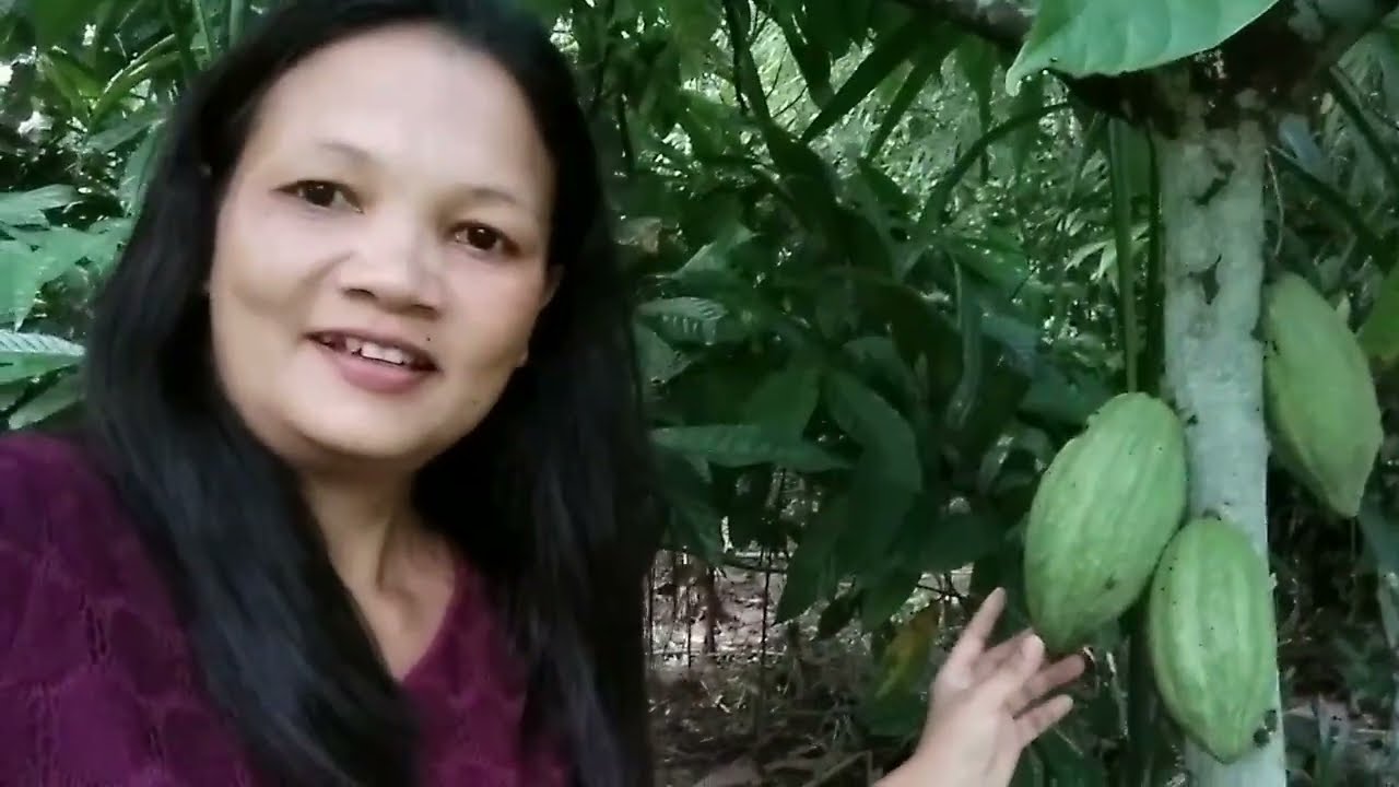 Chocolate Puli Nanggiparang iano Man.gen||Garo vlog|| - YouTube