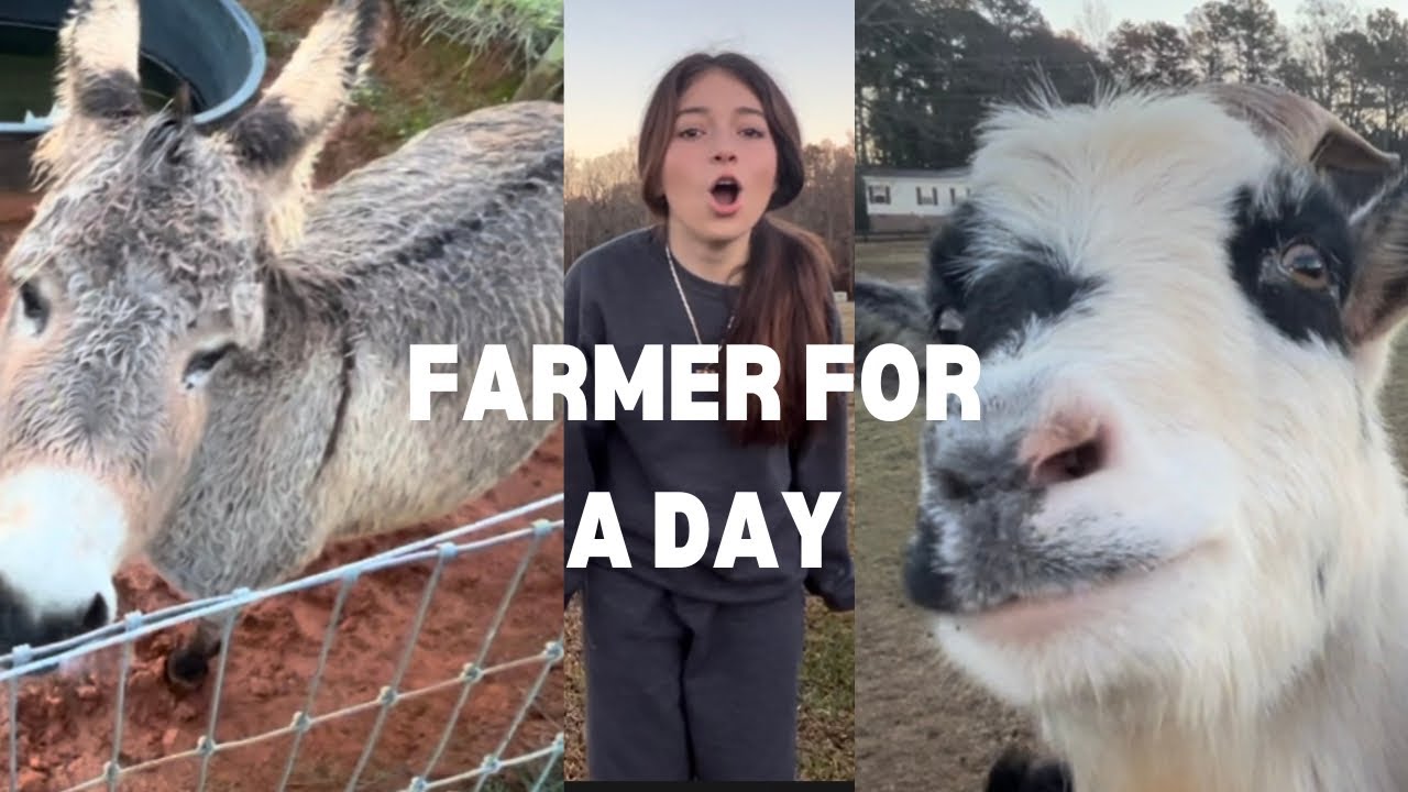 BEING A FARMER FOR A DAY *crazy animals* - YouTube