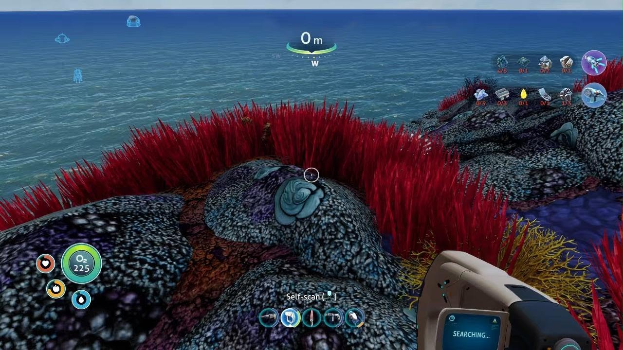 Reefback island - YouTube
