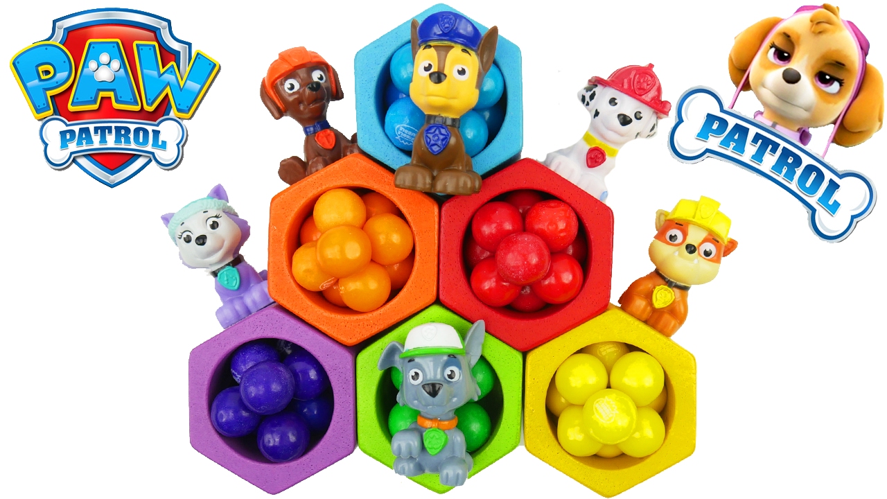 Paw Patrol learn colors and rainbow bee hives - YouTube