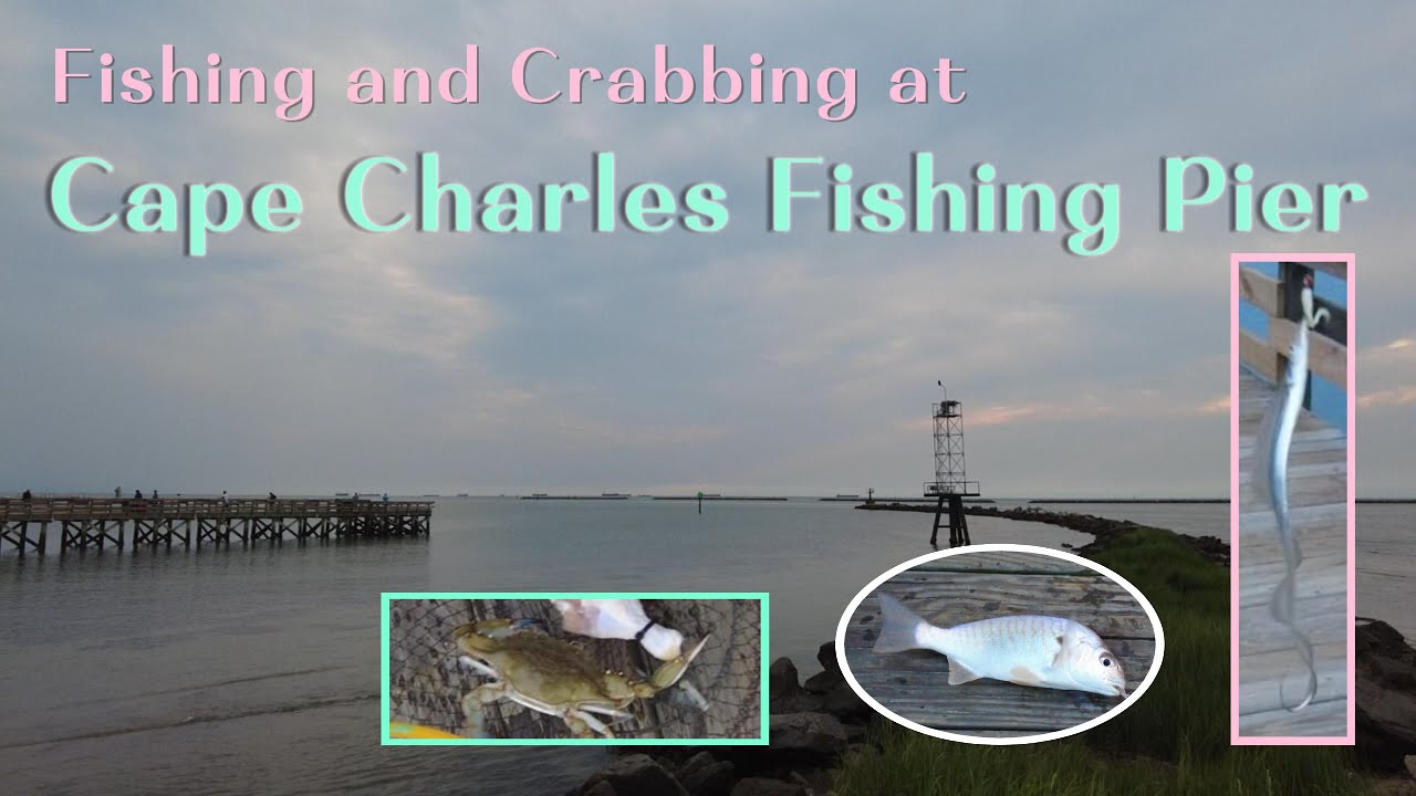 Cape Charles Fishing Pier in Virginia, Chesapeake Bay Low Tide, Ribbon ...