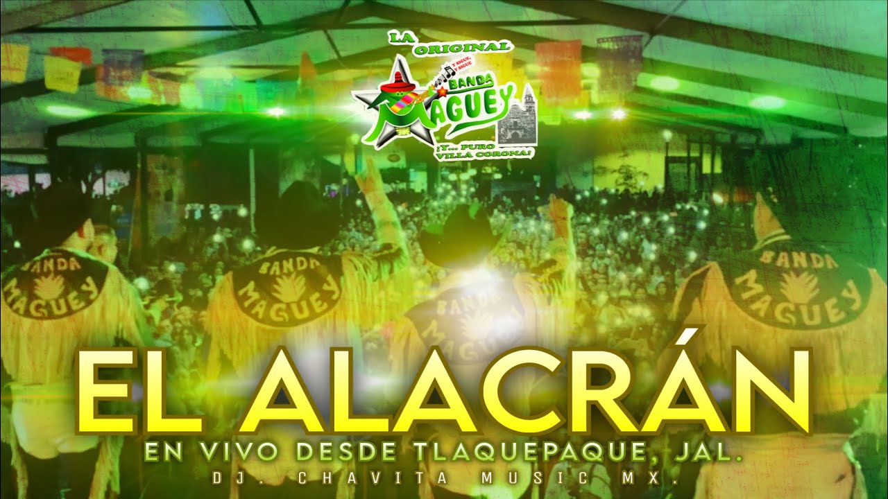 El Alacrán ( Tumbando caña ) BANDA MAGUEY EN VIVO DESDE TLAQUEPAQUE ...