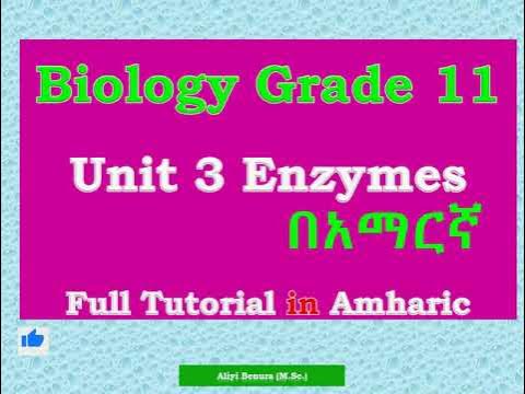 Biology Grade 11 Unit 3 Enzymes Full Tutorial in Amharic - YouTube