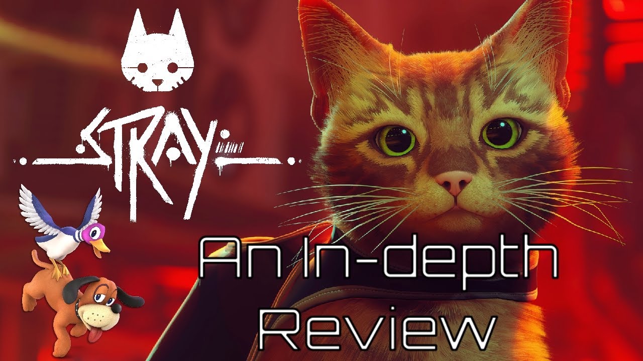 Stray: An In-depth Review - YouTube