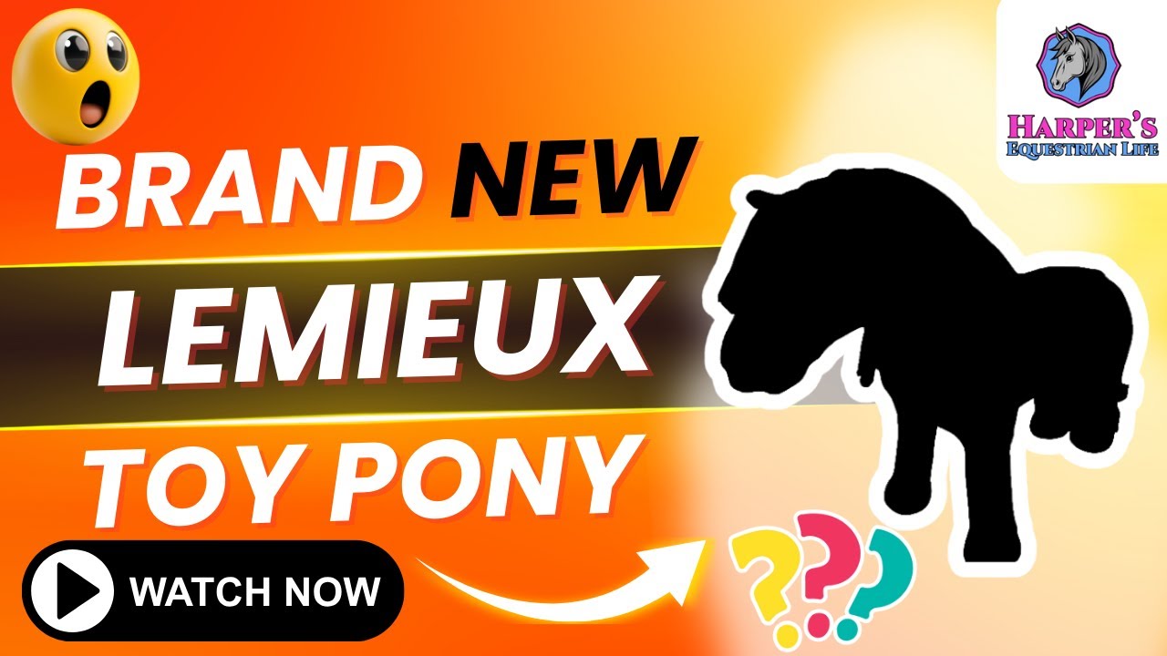 Brand NEW LeMieux Toy Pony | Final Viewing & Big Decision! 🐴 - YouTube