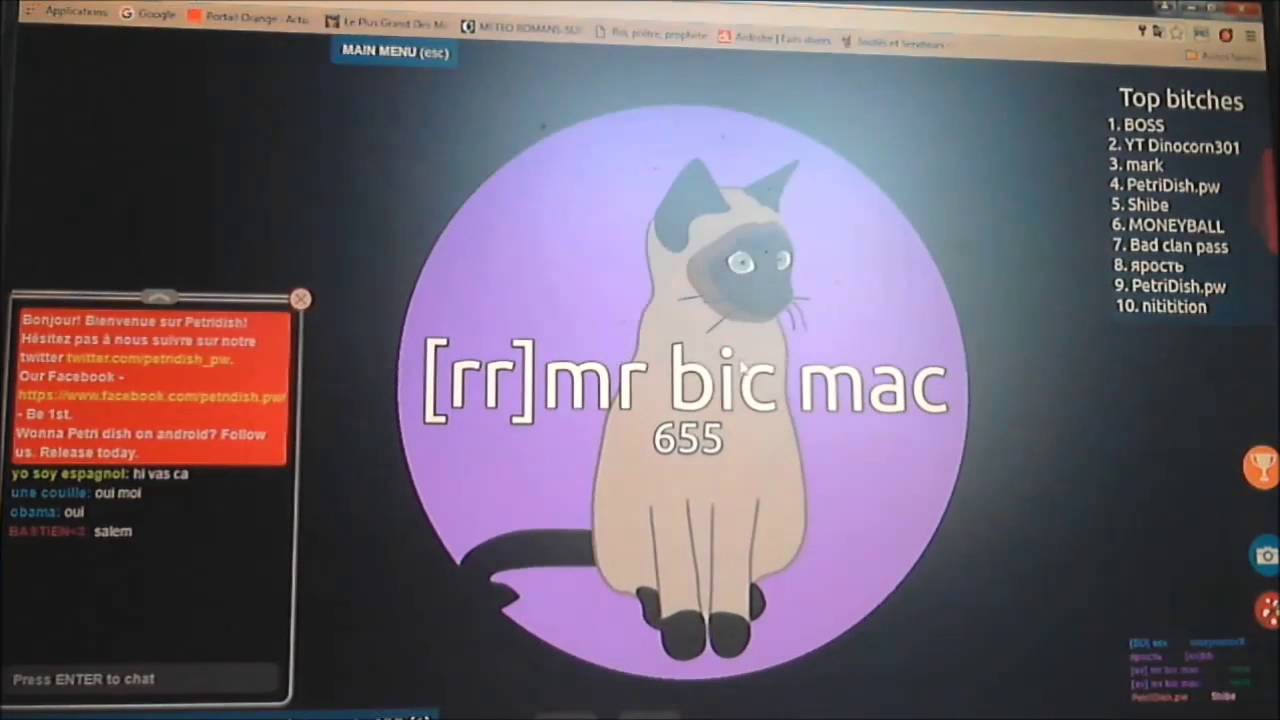 code petri dish #4 - YouTube