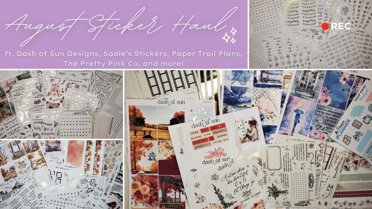 August 2024 Sticker Haul | ft Dash of Sun Designs, Paper Trail Plans ...