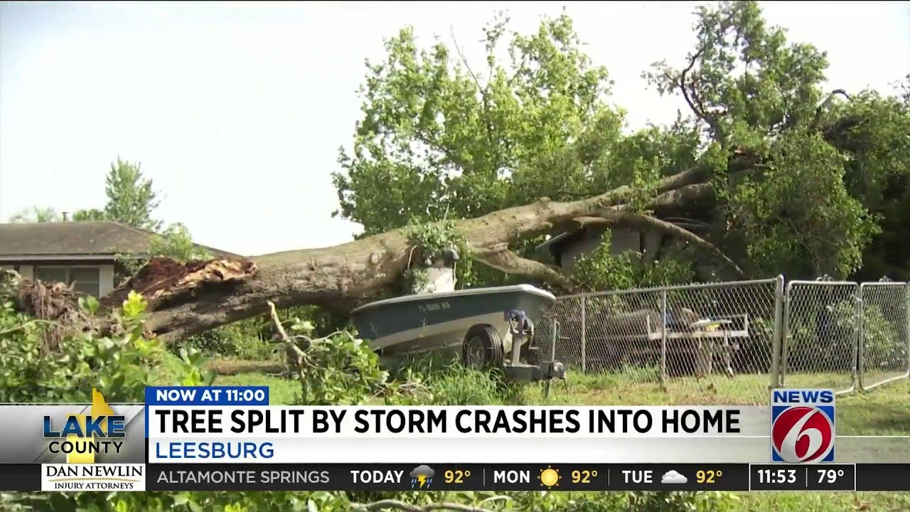 A FAMILY IS LUCKY TO BE ALIVE AFTER A LARGE TREE FALLS ON HOUSE - YouTube