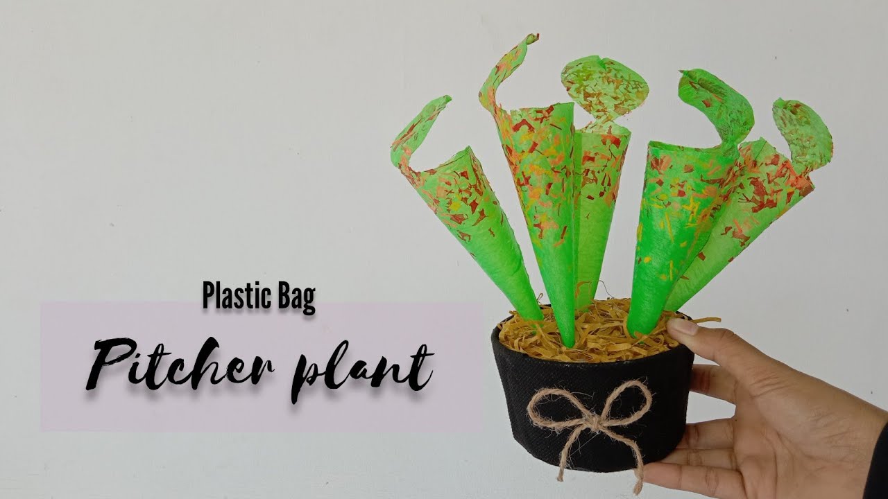 How to Make Pitcher Plant from Plastic Bag - YouTube