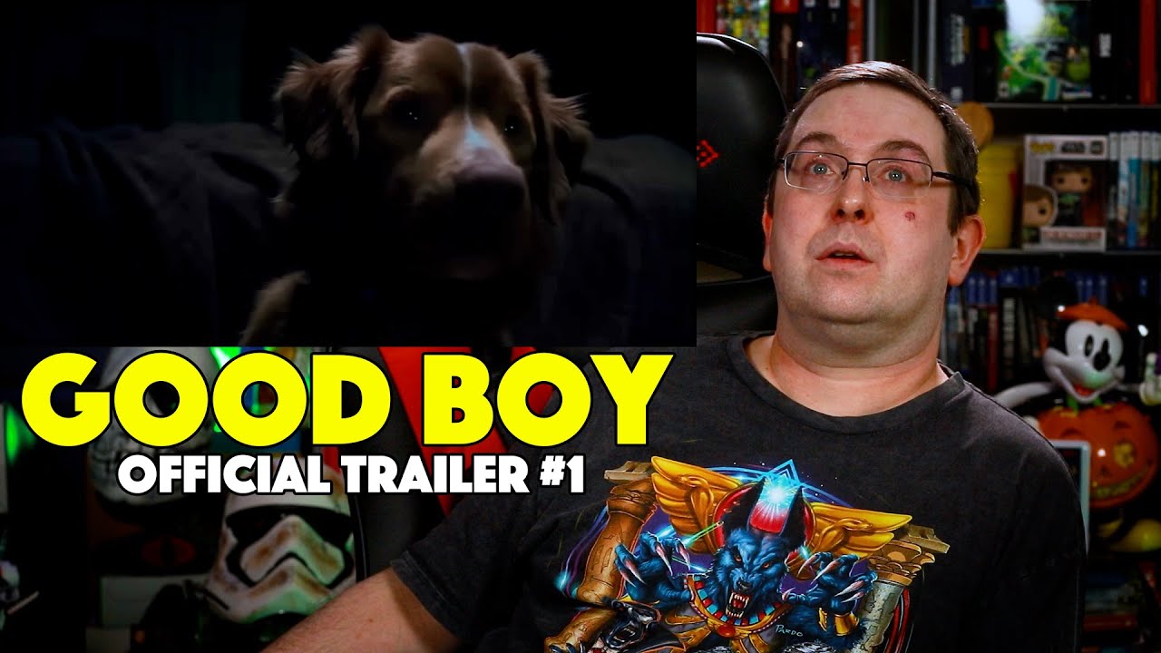 REACTION! Good Boy Trailer #1 - Larry Fessenden Movie 2025 - YouTube