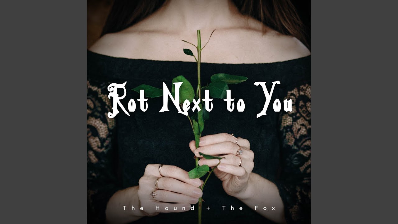 Rot Next to You - YouTube Music