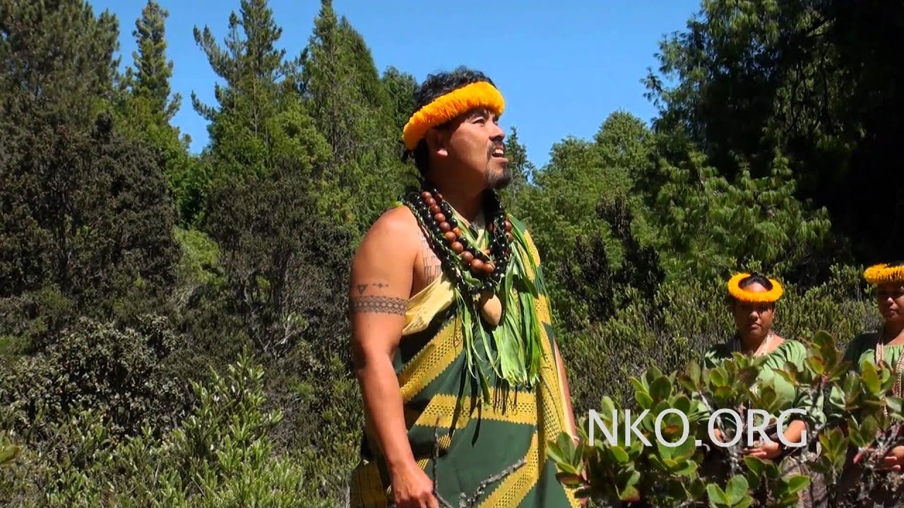 Sony HXR-MC50U Field Test 1920X1080 HD FX mode Kiwikiu Chant Samuel M ...