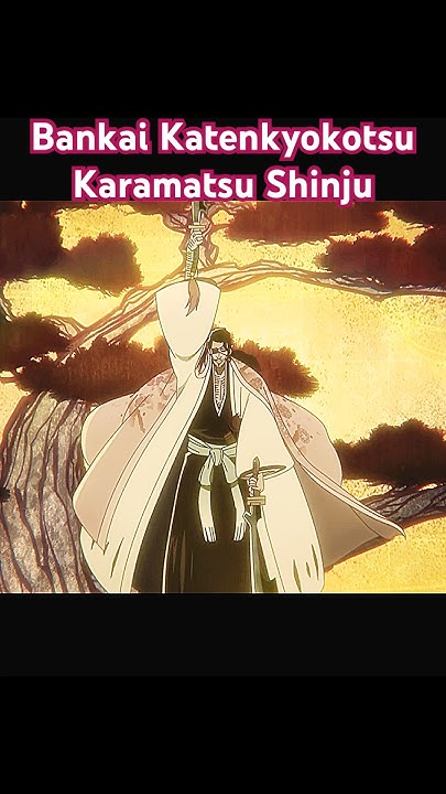 Shunsui Kyoraku Bankai Katenkyokotsu Karamatsu Shinju ☠️🔥bleach Bankai Youtube