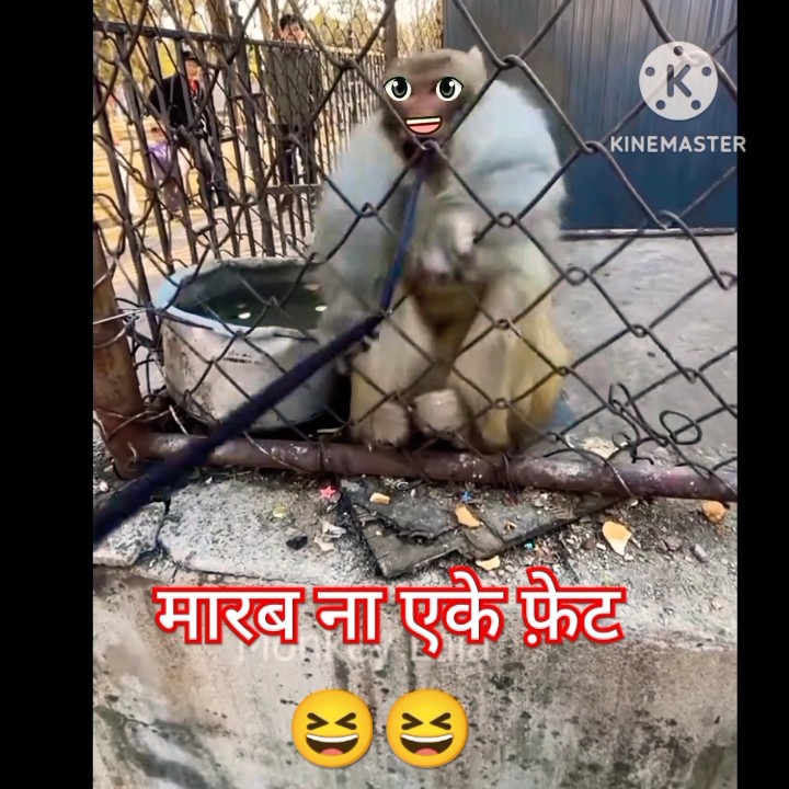 Marab na eke fet 😆😆 | viral memes | #shorts #comedy #memes #funny # ...
