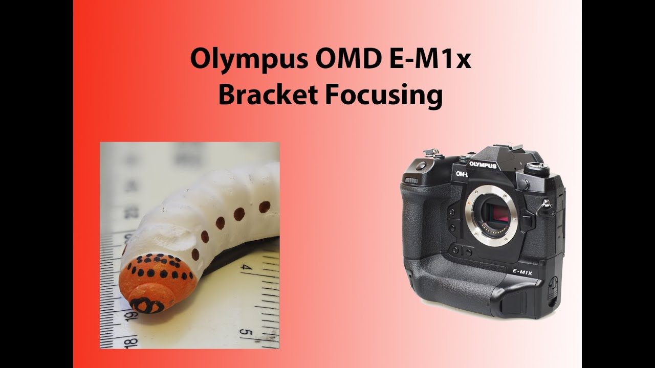 Focus bracketing with the Olympus OMD E-M1x camera - YouTube