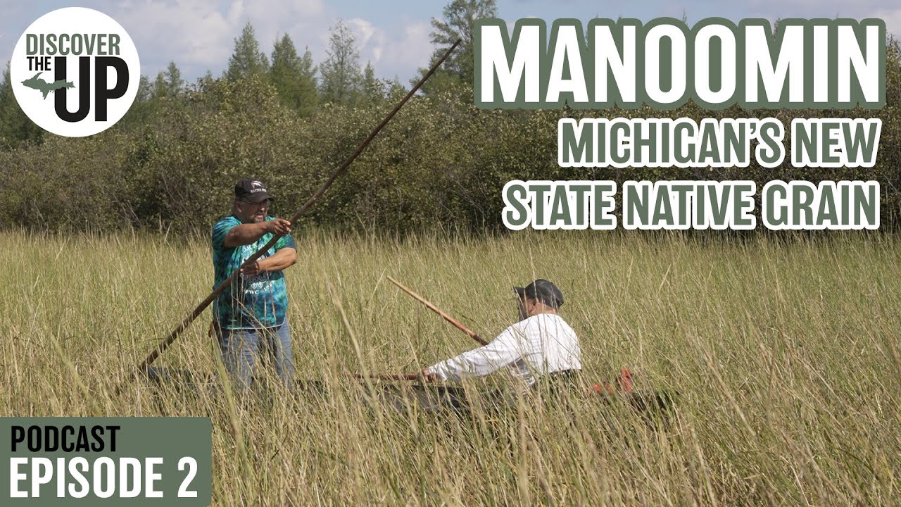 Michigan Native Grain: Manoomin - FULL INTERVIEW - YouTube