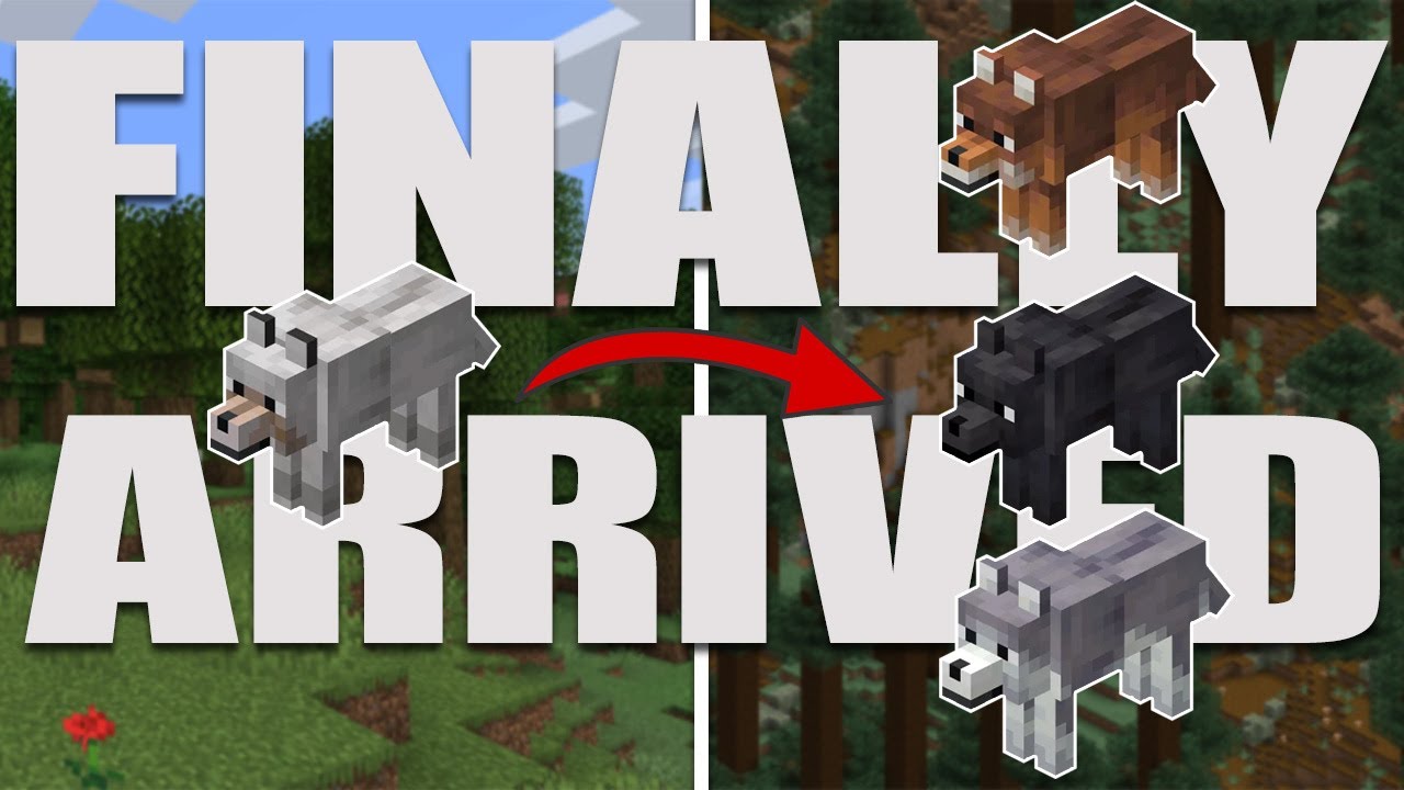 New Minecraft Wolves Have Finally Arrived!! - YouTube