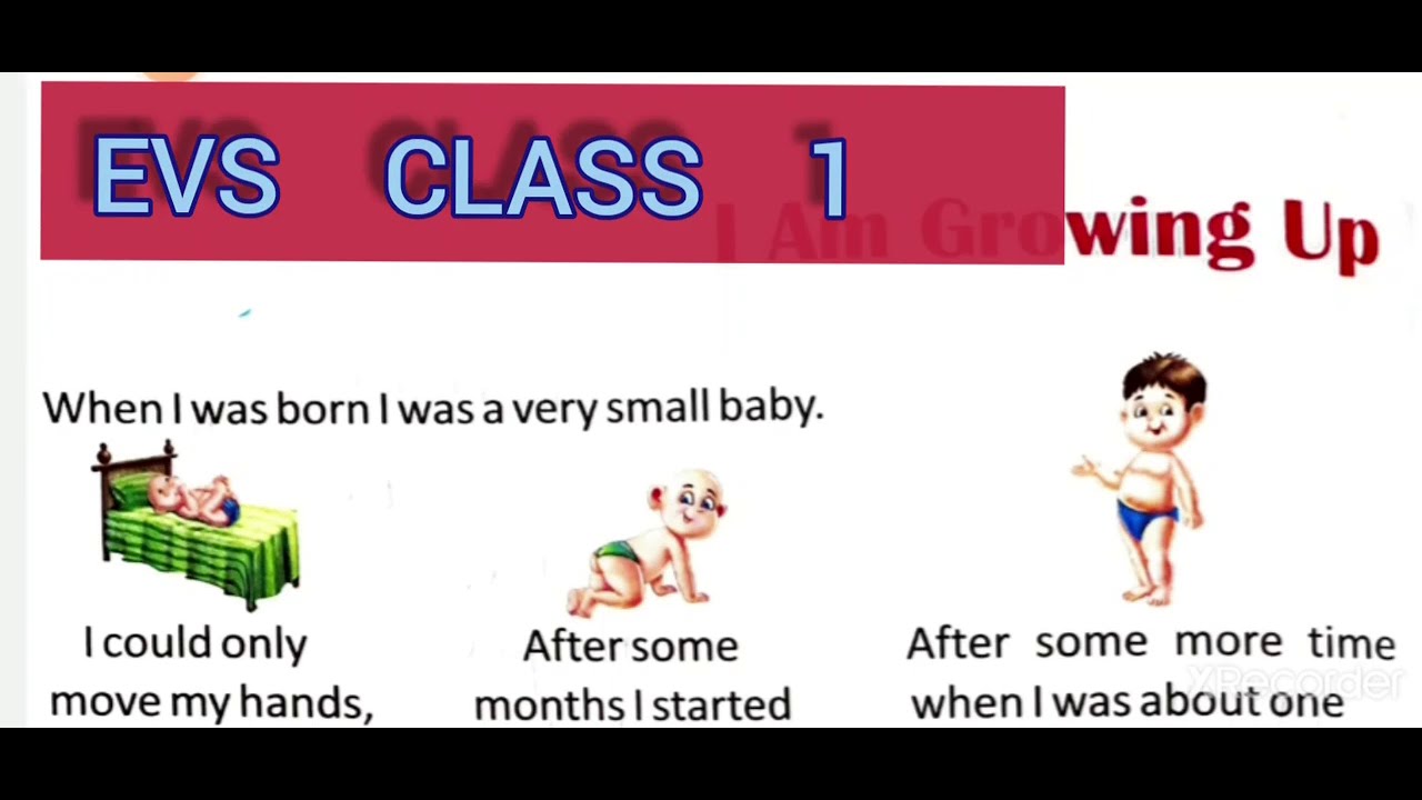 EVS ,Lesson-6, I am growing up, Class 1 - YouTube