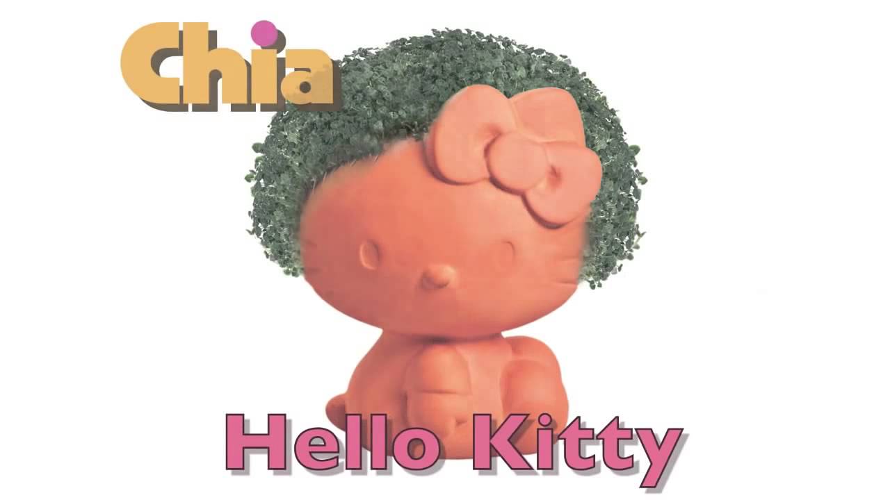 Hello Kitty Chia Pet - YouTube