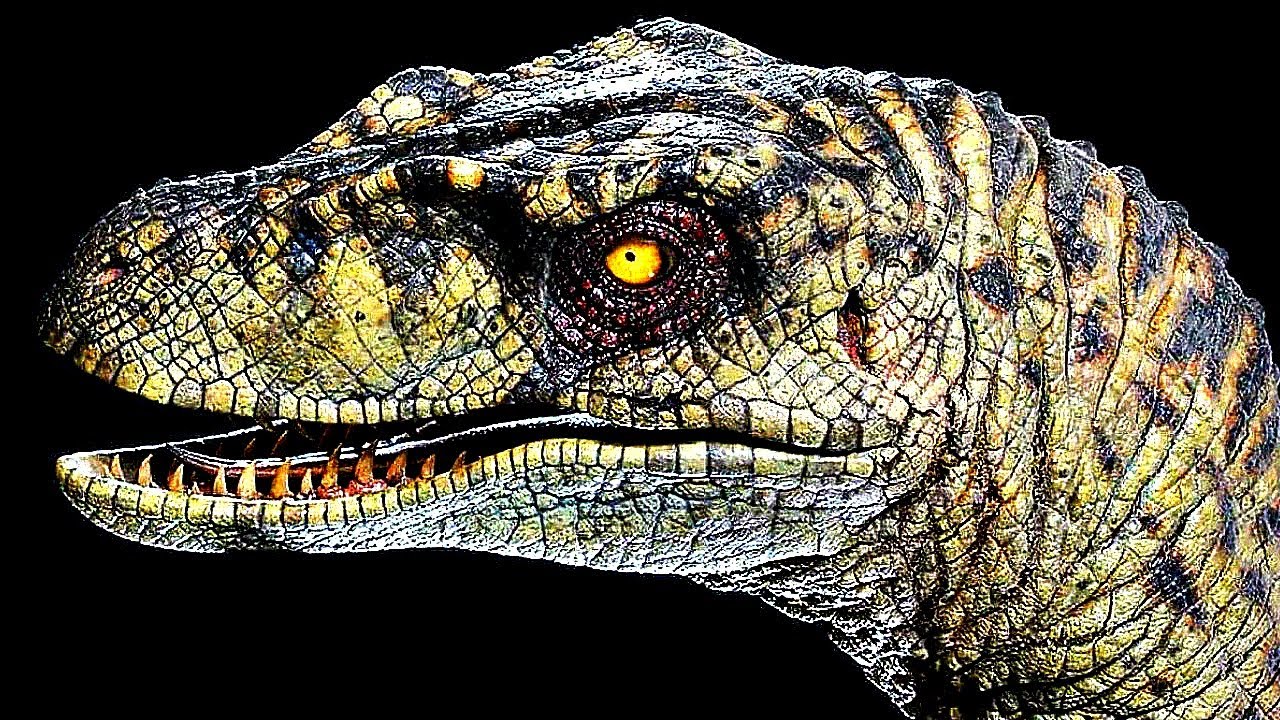 The Velociraptor Kill That HAUNTED Claire Dearing - Jurassic World Book ...