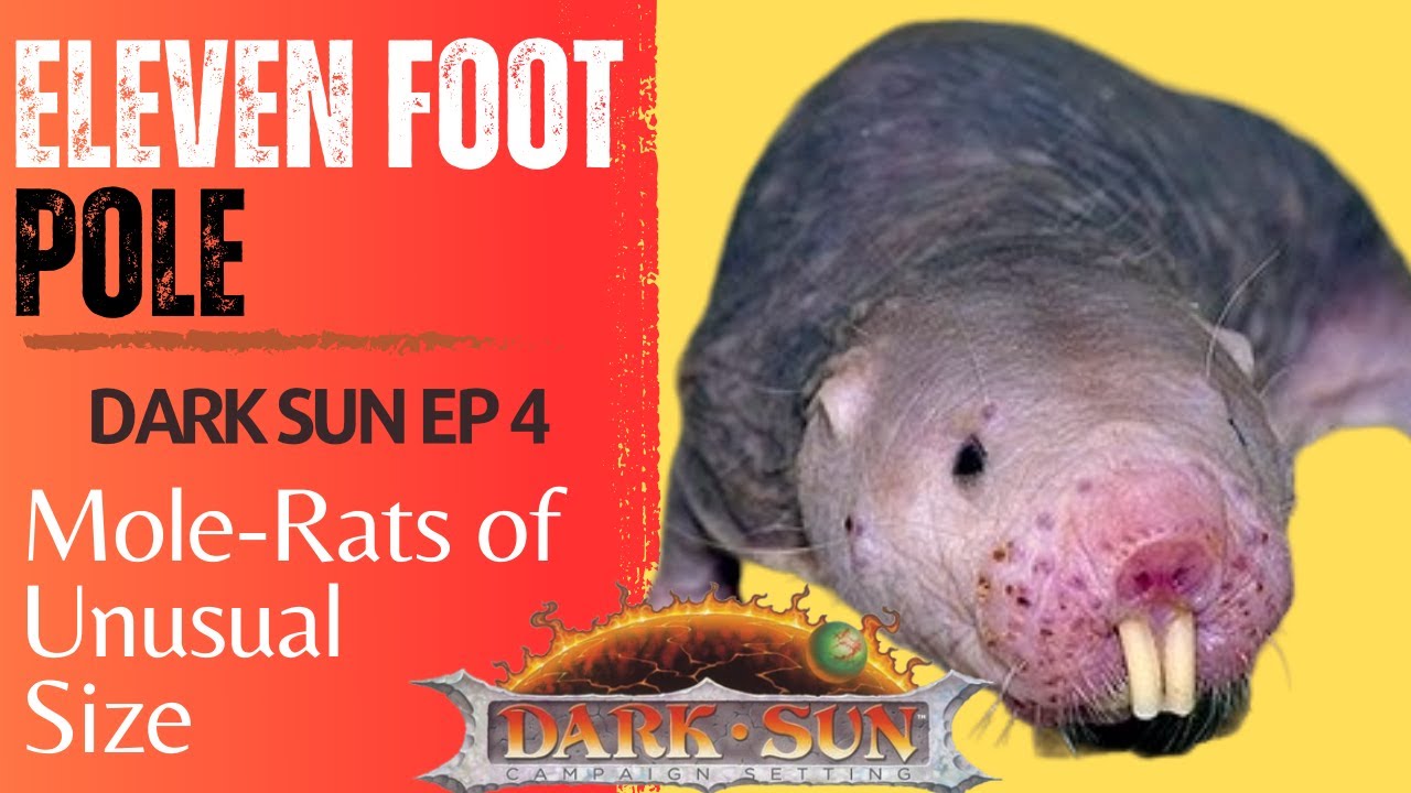 Eleven Foot Pole - Dark Sun Ep4 - Mole-Rats of Unusual Size - YouTube