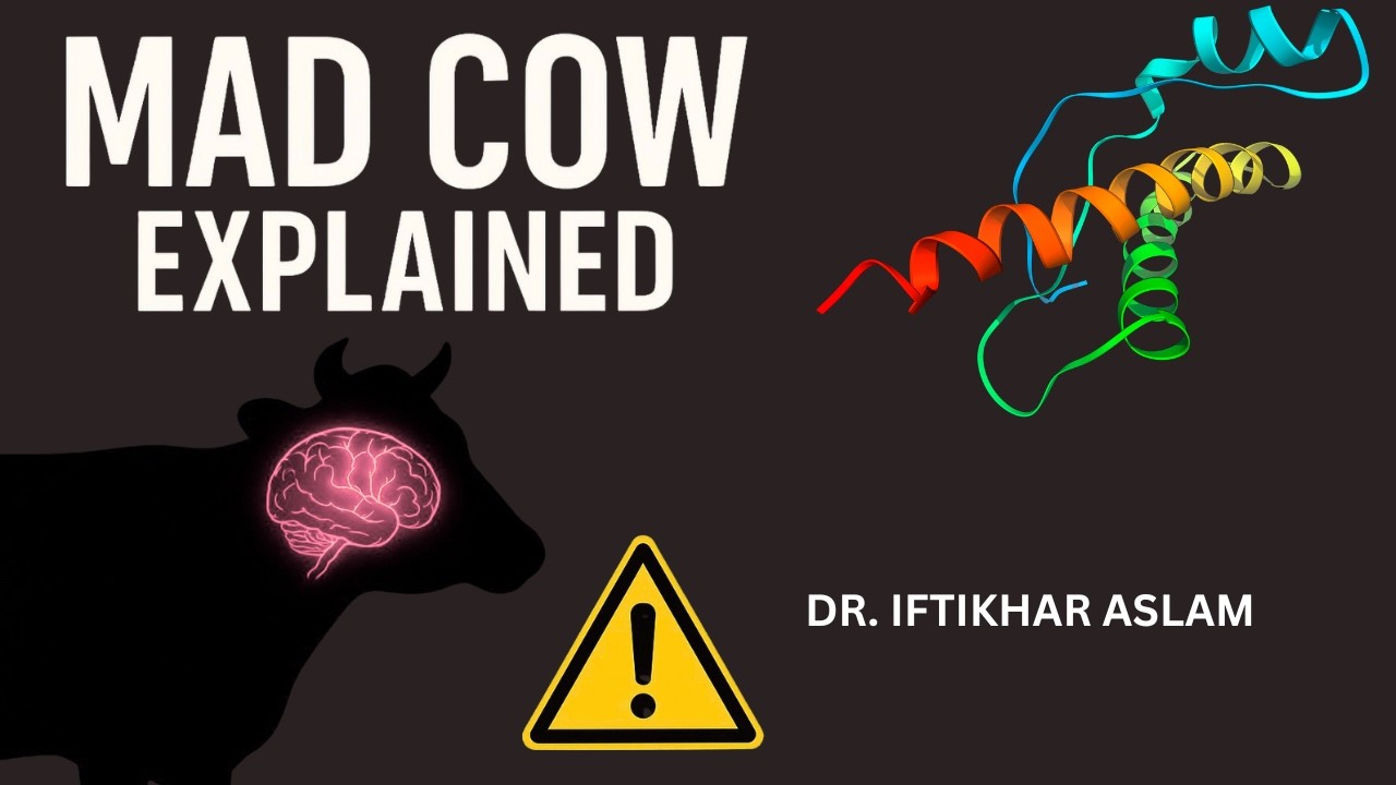 What is Mad Cow Disease? Causes, Symptoms & Prevention of BSE - YouTube