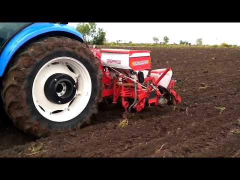 New Holland TD 110D & Gaspardo ile Ay Çekirdeği Ekimi (Kalite)
