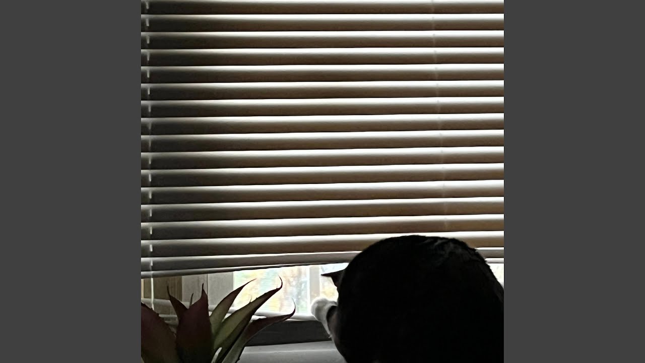 i can look at anything - YouTube