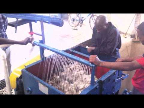 Rubber Tree Lace and Rubber Field Coagulum Washing Machine - YouTube