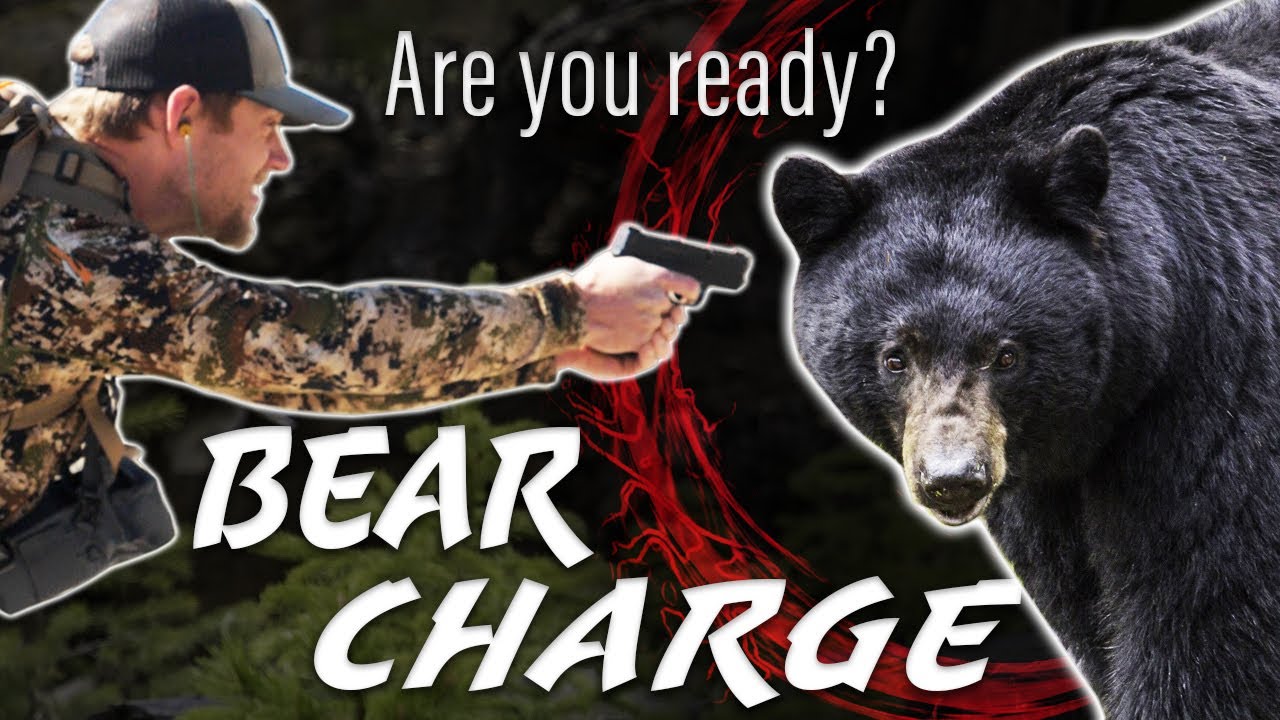 Face a head-on charge! How To Survive a Bear Attack (Grizzly or Black ...