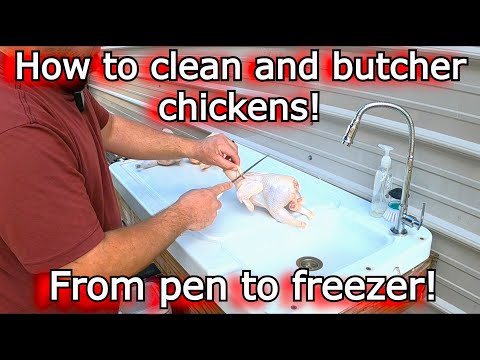 How to clean and butcher chickens! Coop to freezer #711