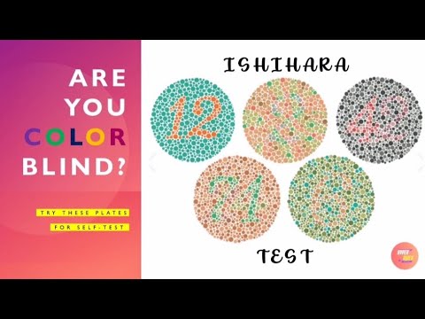 Are You Color Blind? Take this Ishihara Test Now! - YouTube