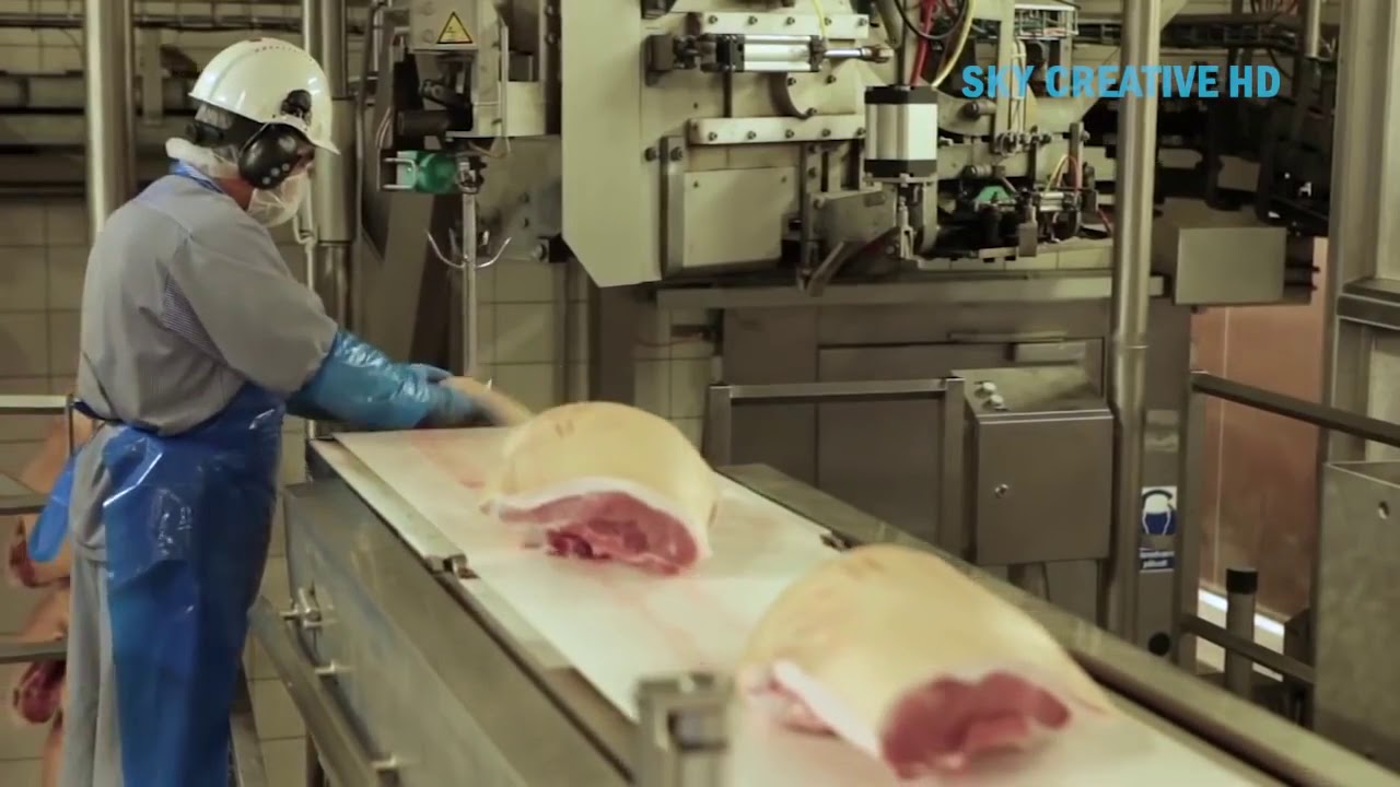 Incredible modern pork processing factory technology & other amazing ...